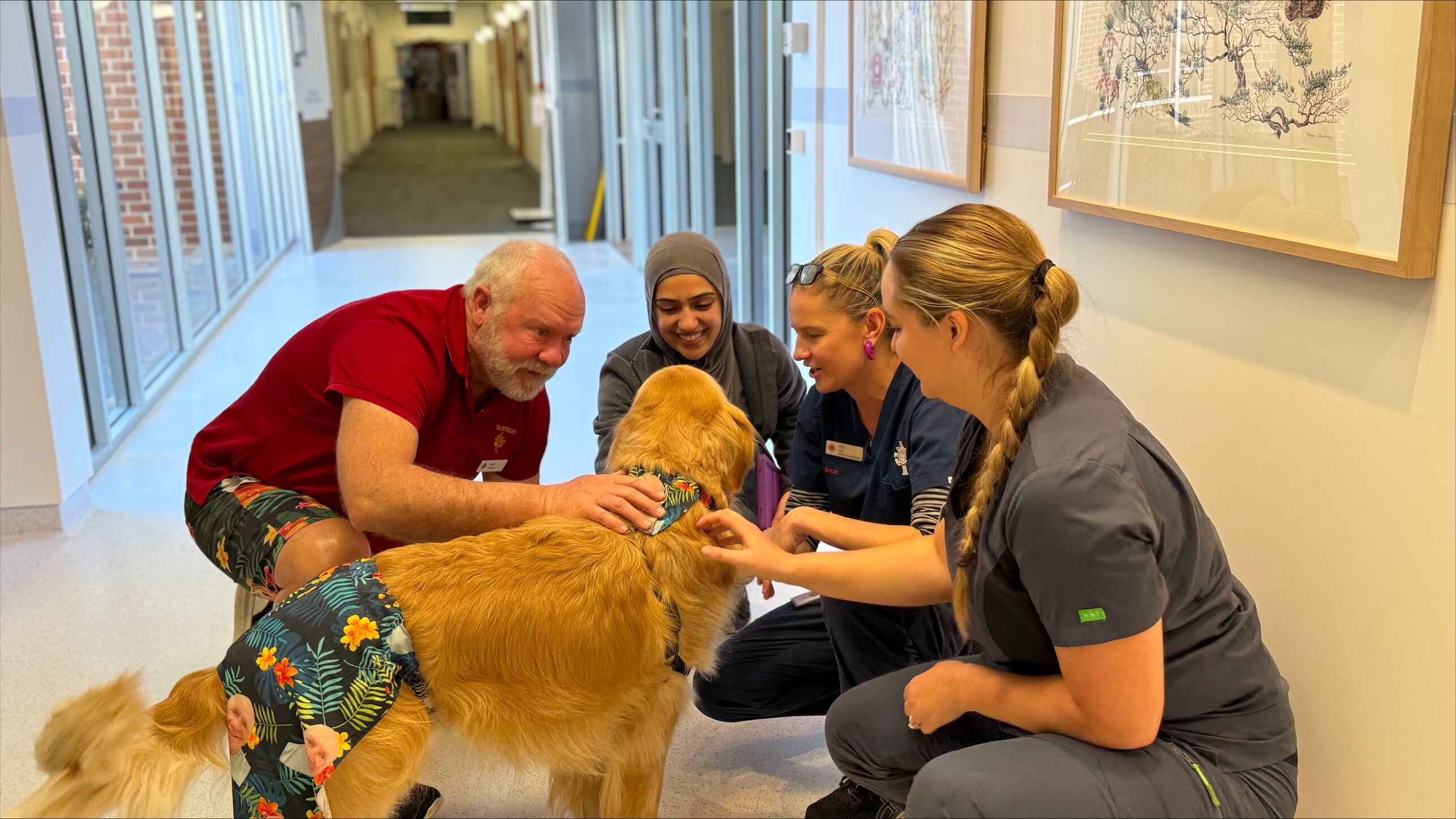 Levi the dog changed Gary's life - ABC listen