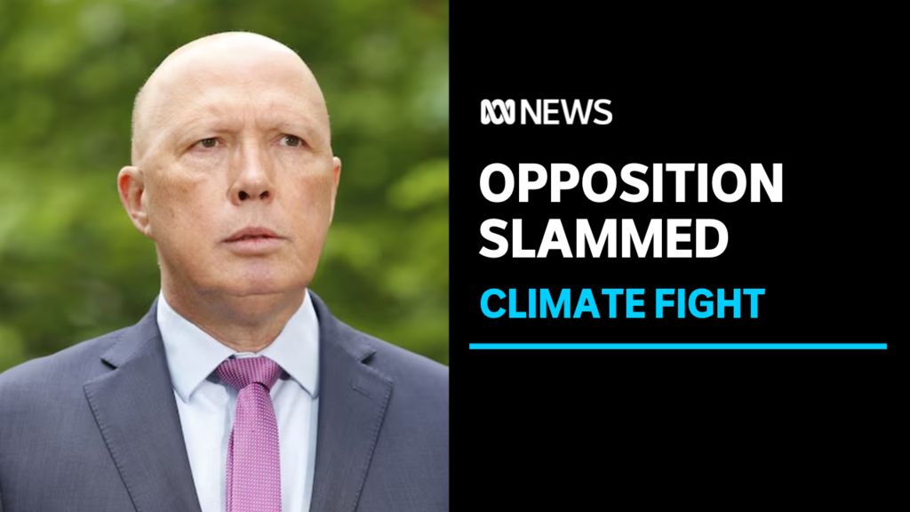 Body of TV presenter Michael Mosley found - ABC News