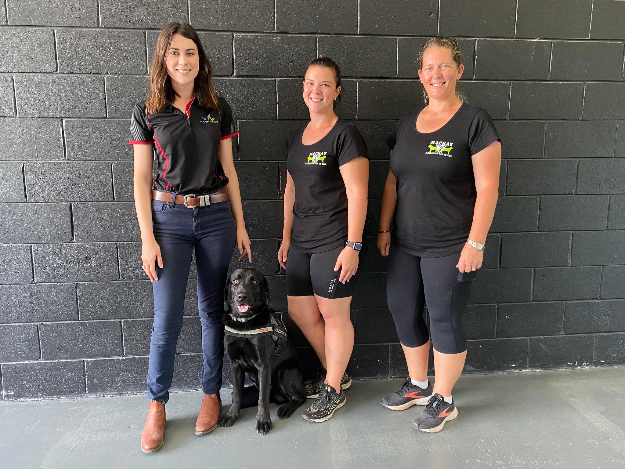 Could dogs play a role in battling one of the biggest economic pests to ...