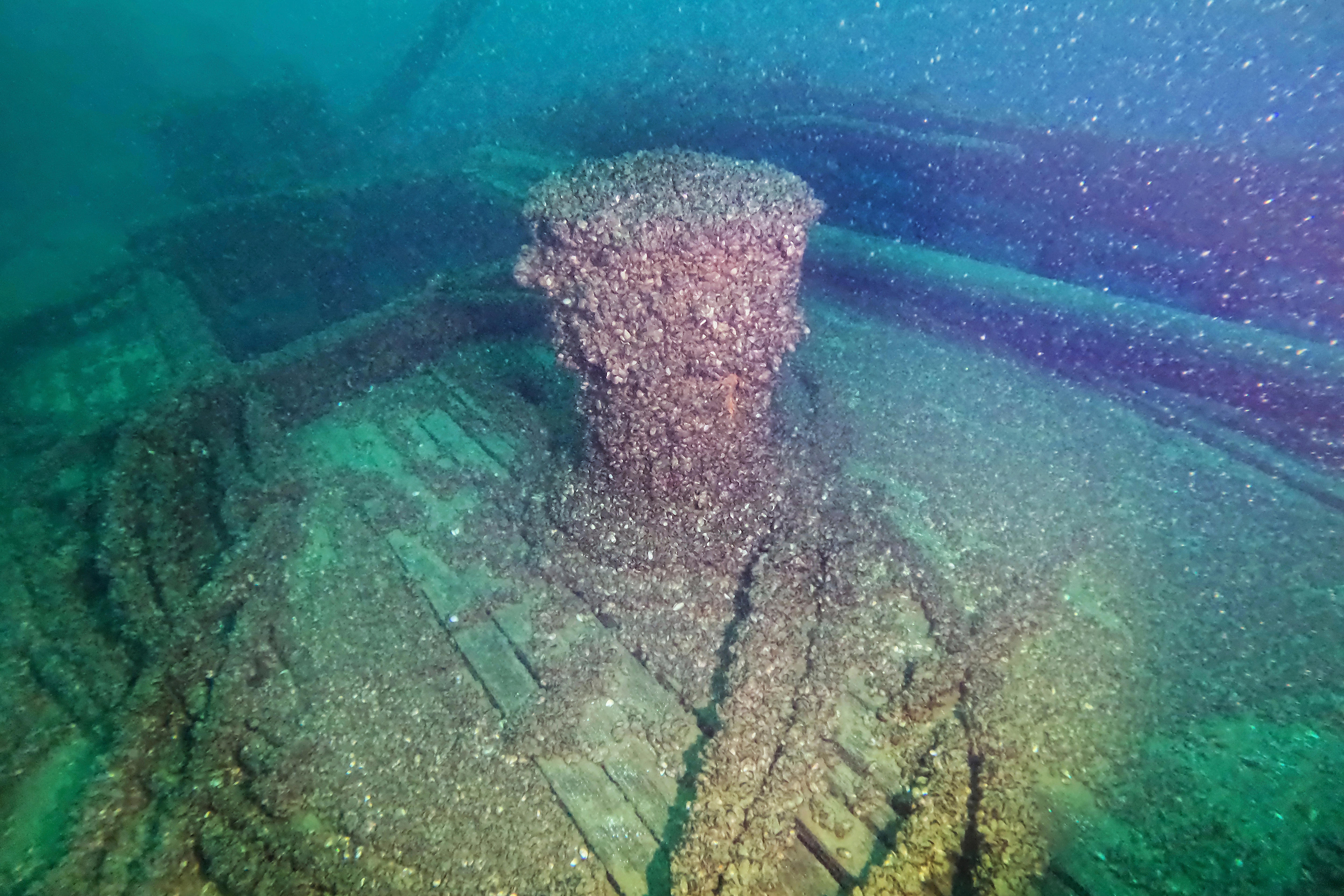 Divers discover 'ghost ship' F J King wreckage 140 years after sinking ...