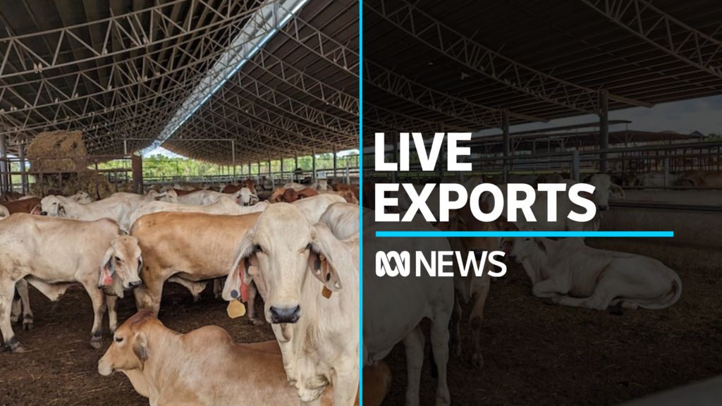 Teachers struggling with lack of resources to plan classes - ABC News