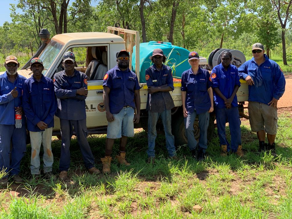 Waterhole springs back to life as Indigenous rangers tackle buffalo ...