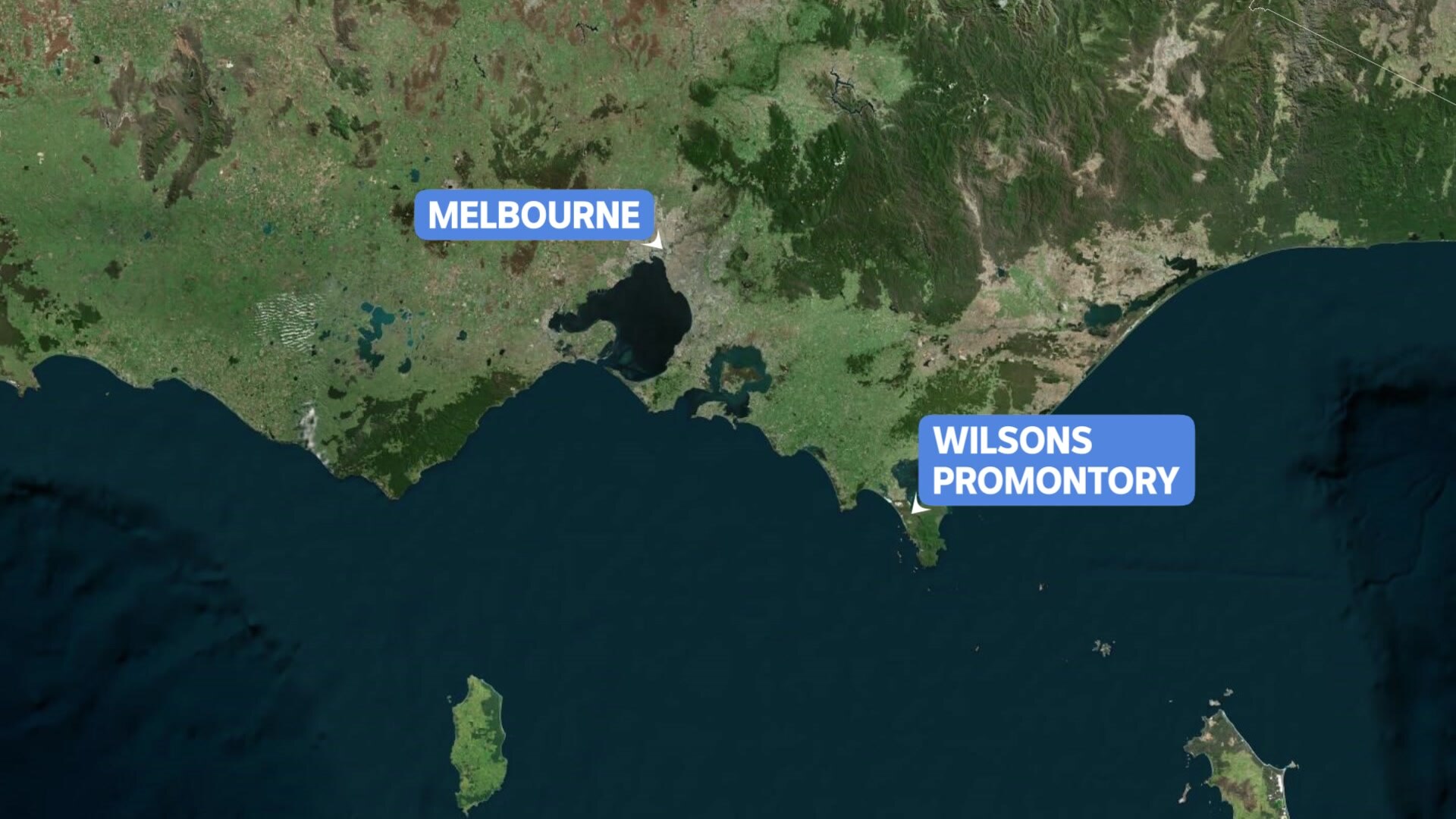 Wilsons Promontory a unique national park helping endangered species ...