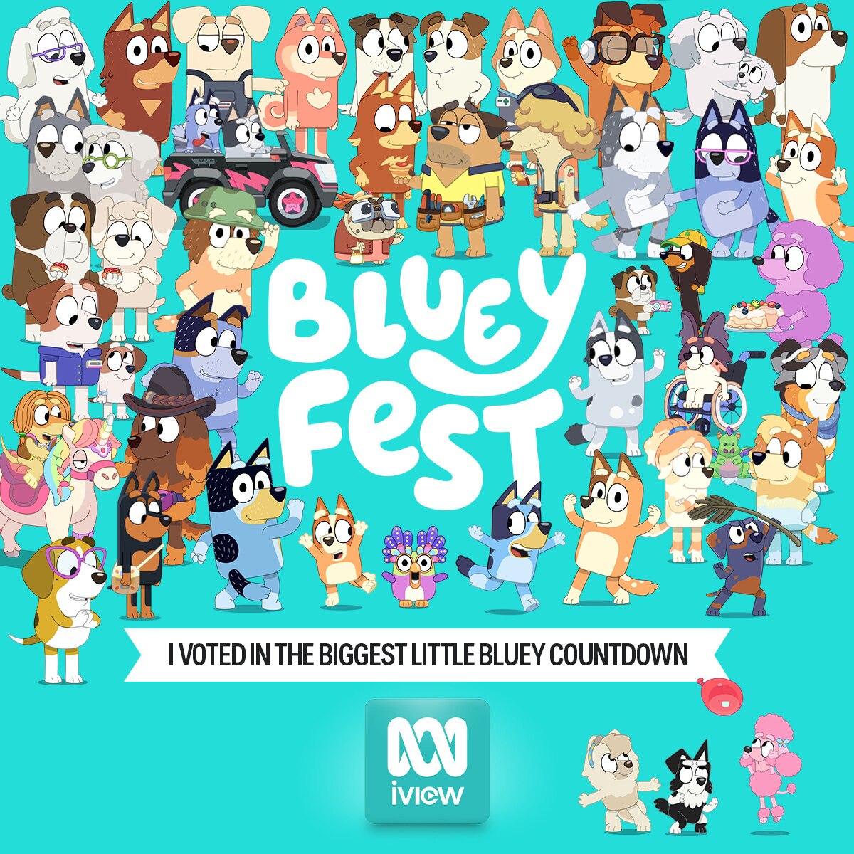 Bluey Fest Social Images - ABC Kids
