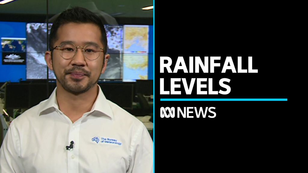 Overview of rainfall levels on east coast - ABC News