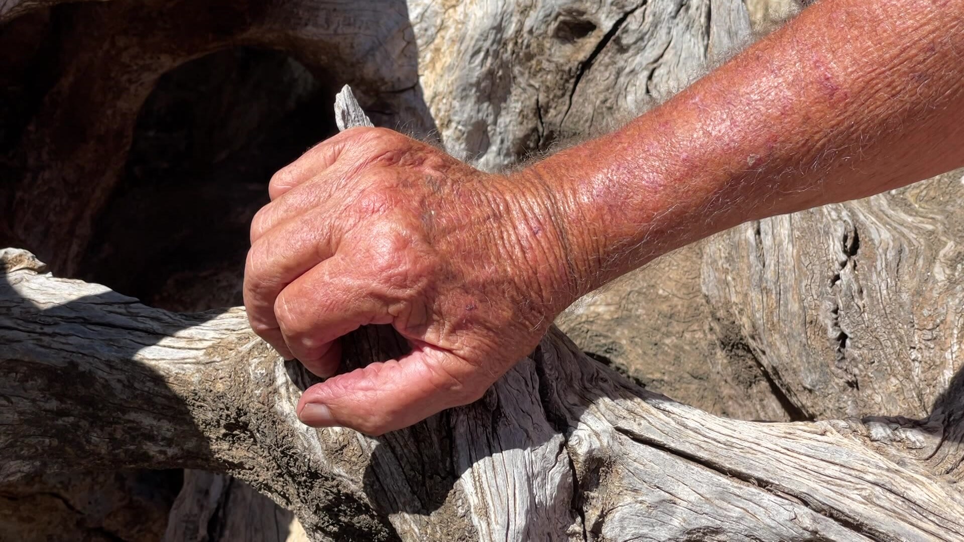 The 'black stump' of Paringa's story is part of the iconic Aussie ...