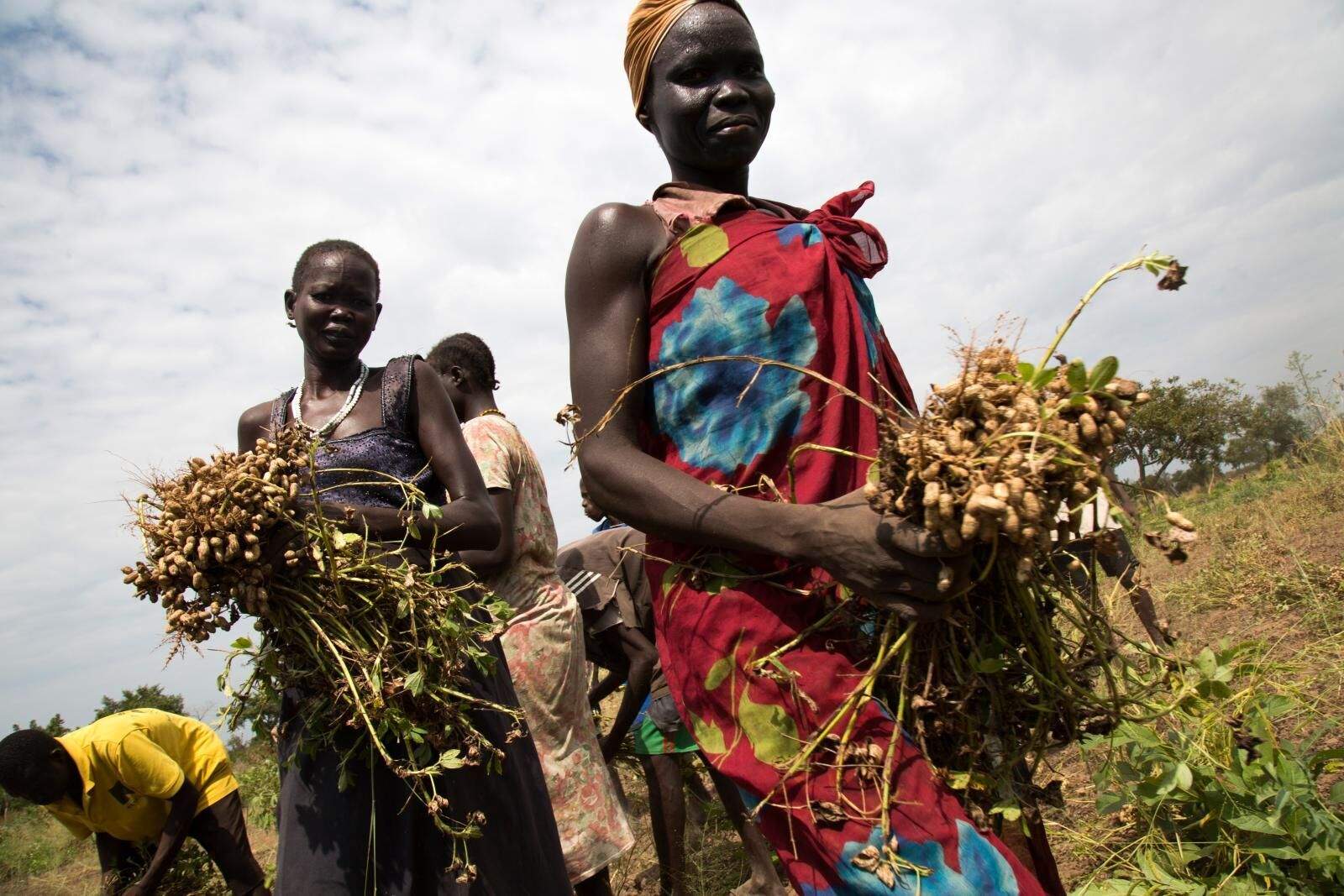 Refugee women in Uganda rebuilding lives after fleeing violence in ...