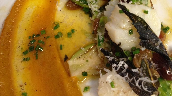 Seared Queensland scallops with spiced pumpkin puree, sauteed brussel ...