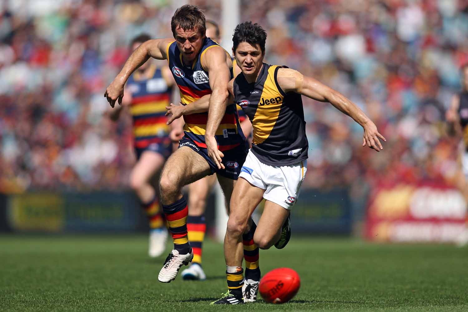 Tigers claw out of Crows shootout - ABC News