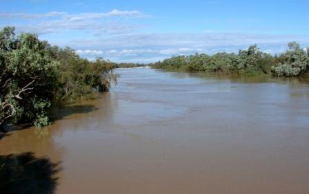 Grazier welcomes 'gentle' flood in Qld's central-west - ABC News