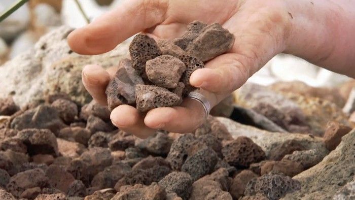 Inorganic Mulch - Gardening Australia