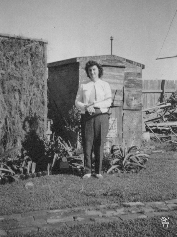 Centenarian Phyllis Thompson credits a love of gardening for her long ...