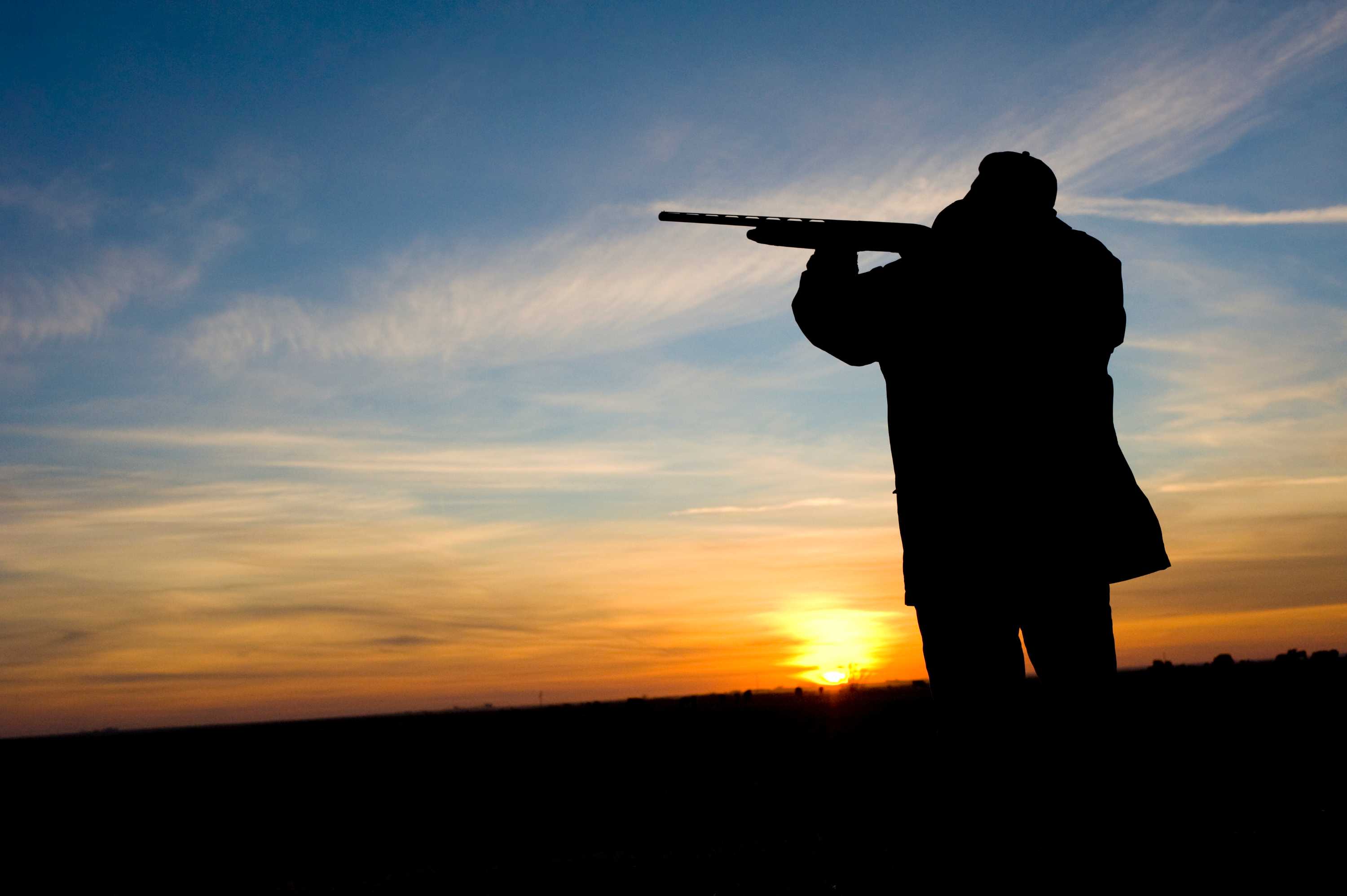 Guns, killing and the cover of darkness - ABC listen