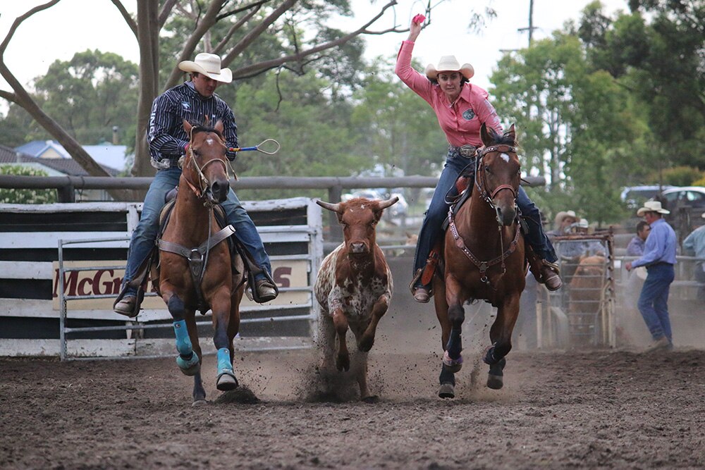 Record crowd at Wingham Summertime Rodeo in New South Wales - ABC News