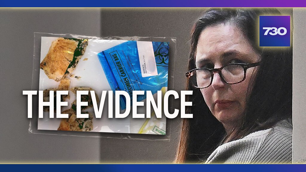 Doctor details efforts to save Erin Patterson’s mushroom murder victims ...