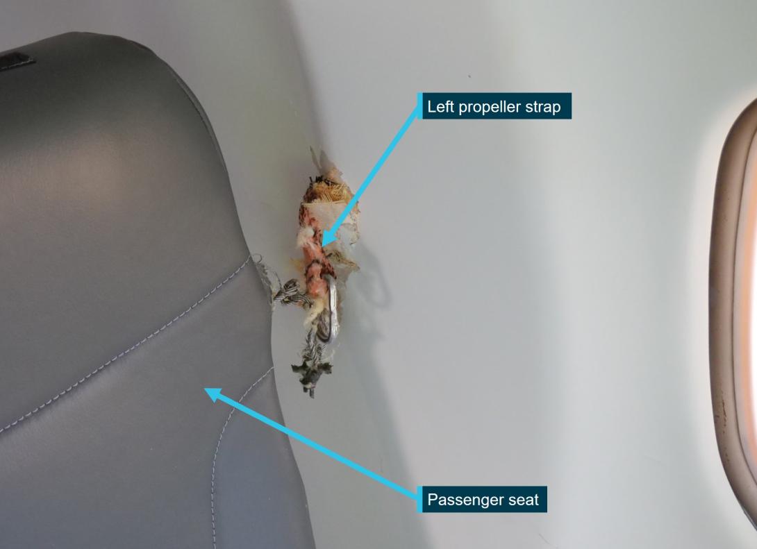 Report recommends stricter safety measures after propeller strap ...