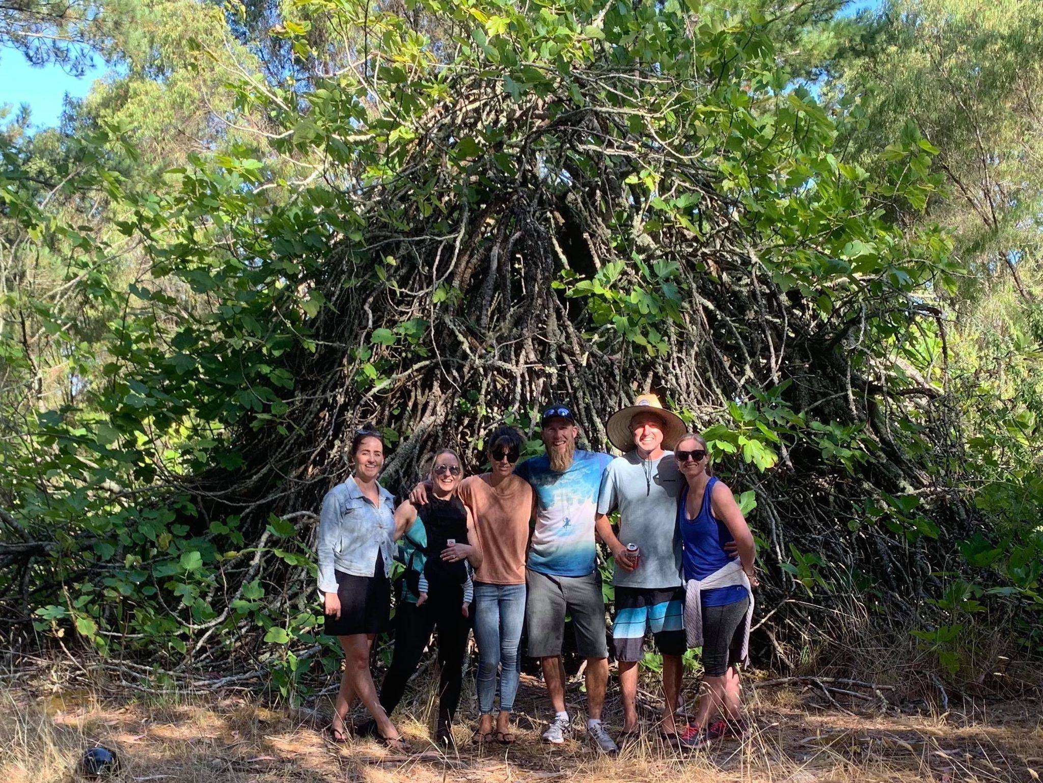 Denmark locals mourn loss of decades-old fig tree bulldozed by ...