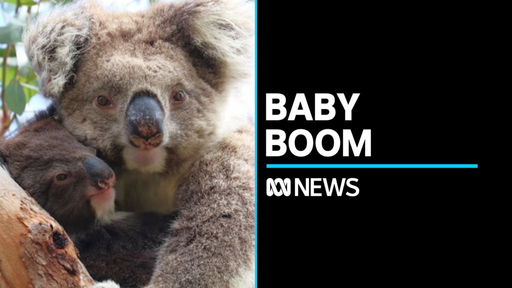 'Yes' campaign ad launched to encourage people to support vote - ABC News