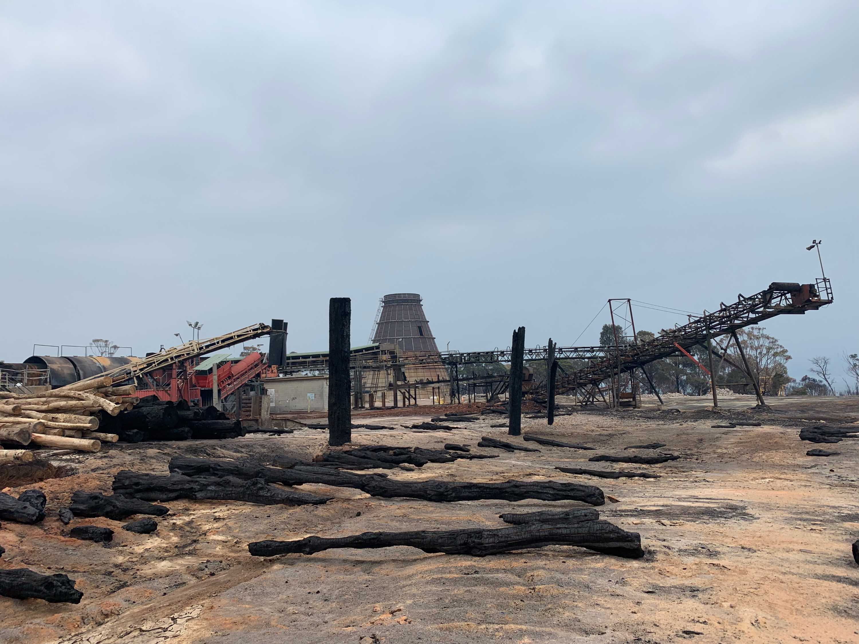 Eden woodchip mill to resume operations this week despite devastation ...