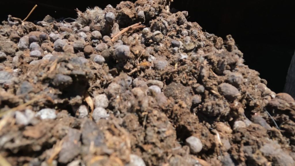 It can slide up to 40 metres under a shed and scrape out the dung from ...