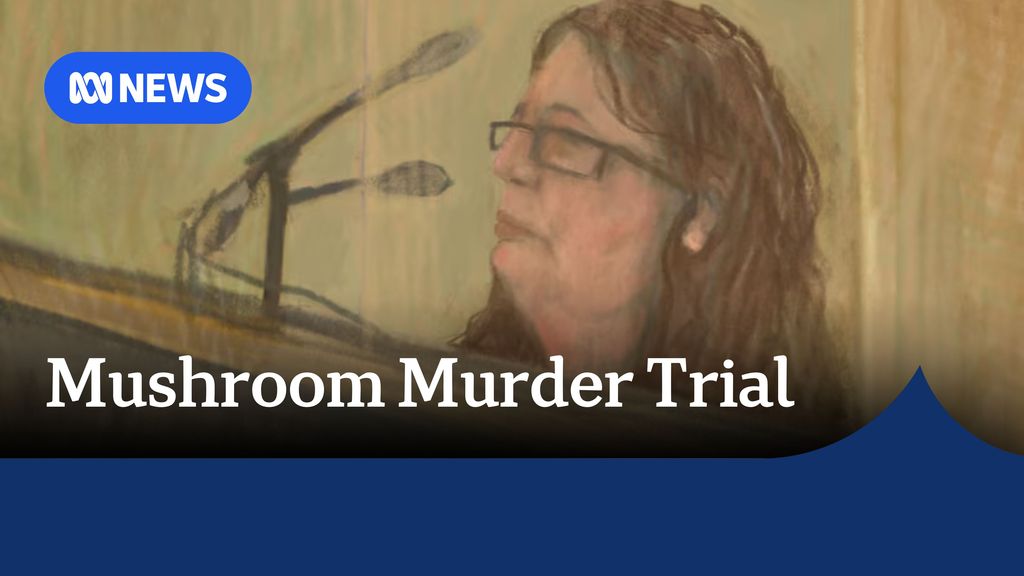 Triple-murder trial hears evidence from Erin Patterson's young daughter ...