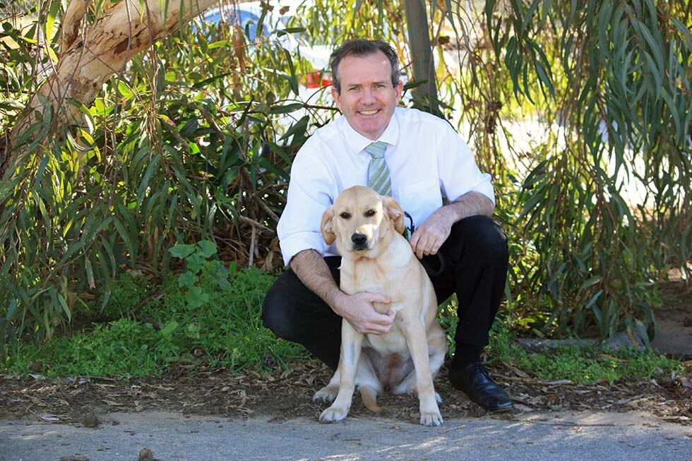 What should vets do when an animal's owner can't pay the bill? - ABC listen