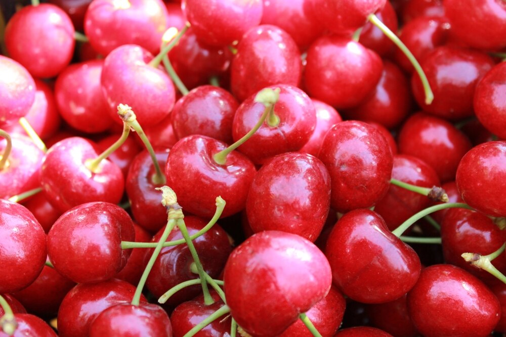 Early start for South Australian cherry harvest in both Adelaide Hill ...