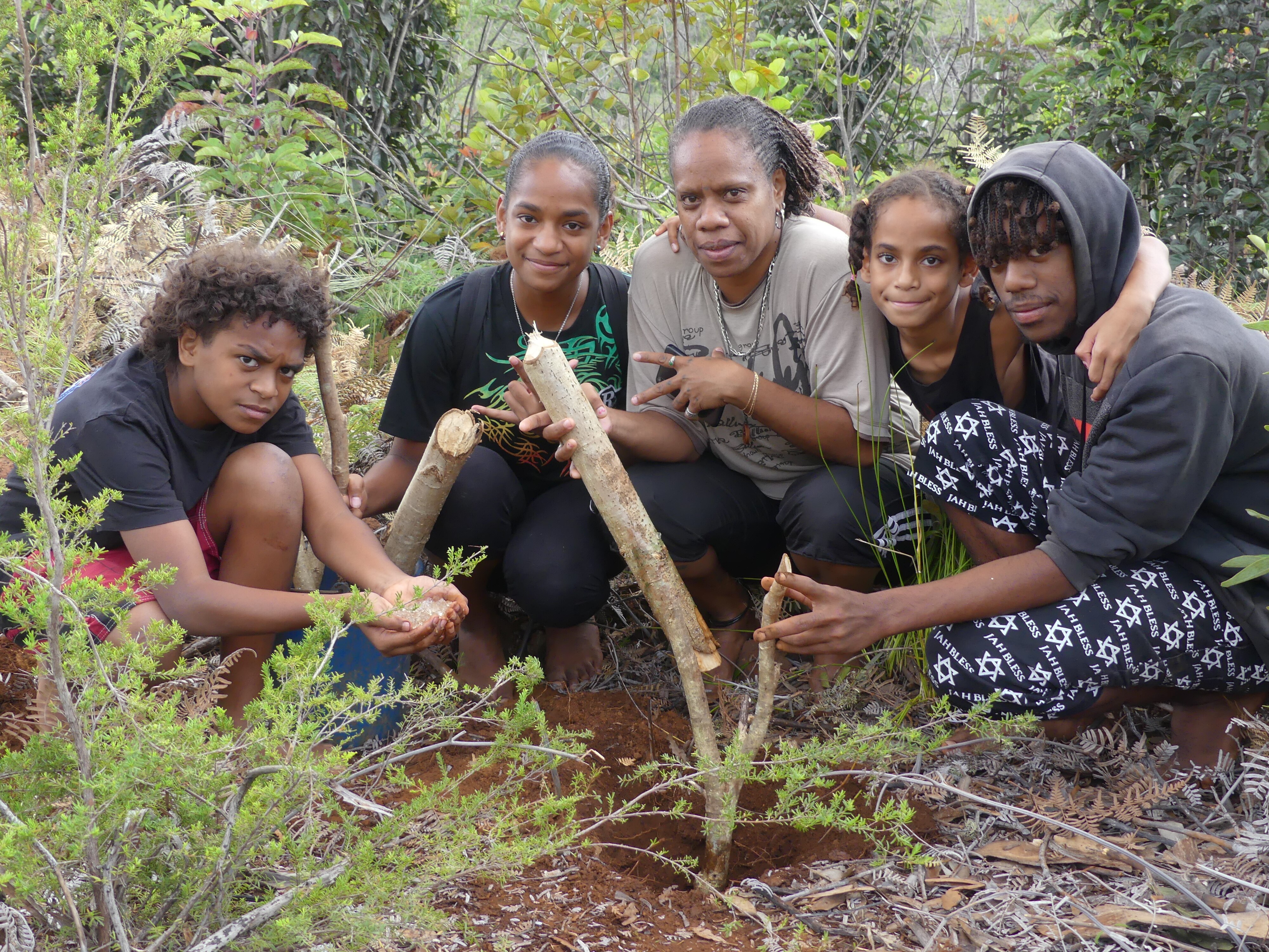 Pacific communities planting fire-retardant trees to help prevent ...