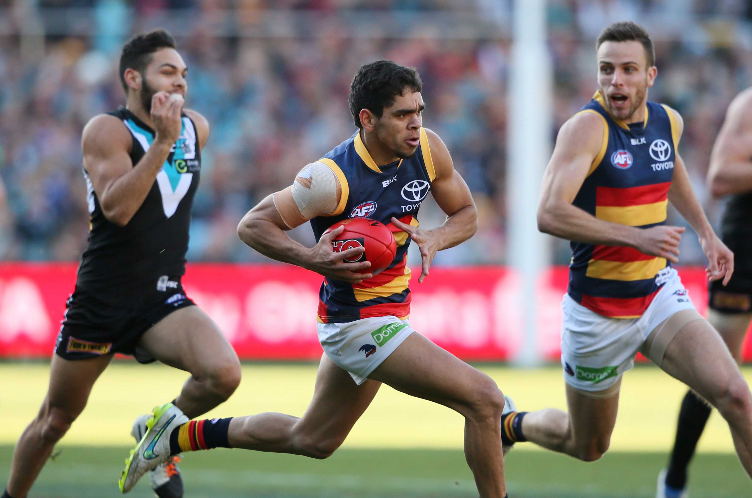Port Adelaide membership numbers pass Adelaide Crows for first time in ...