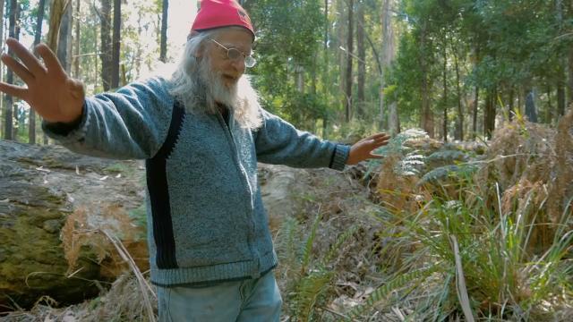 Back Roads Dreaming: The journey of the eels of the Yarra River - ABC ...