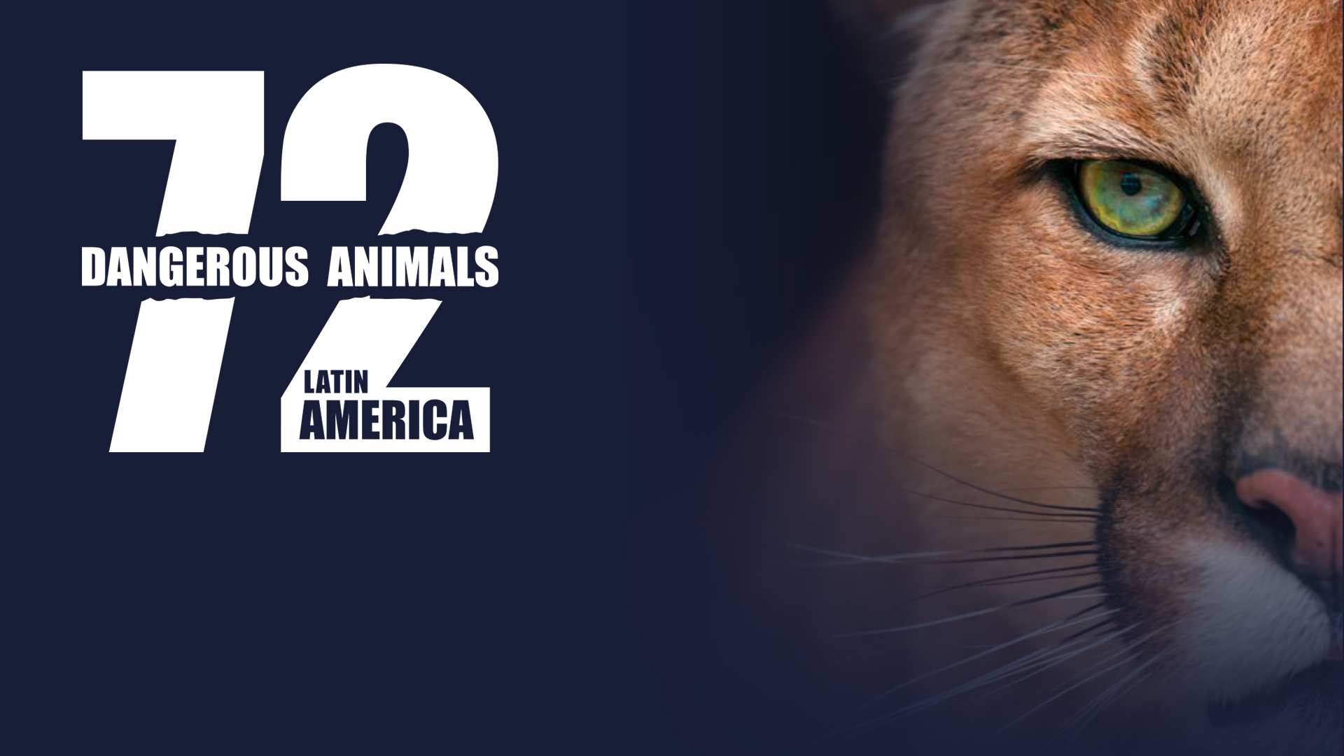 72 Dangerous Animals Latin America - ABC Content Sales