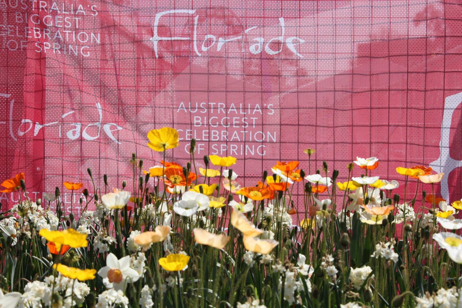 floriade preview - ABC listen