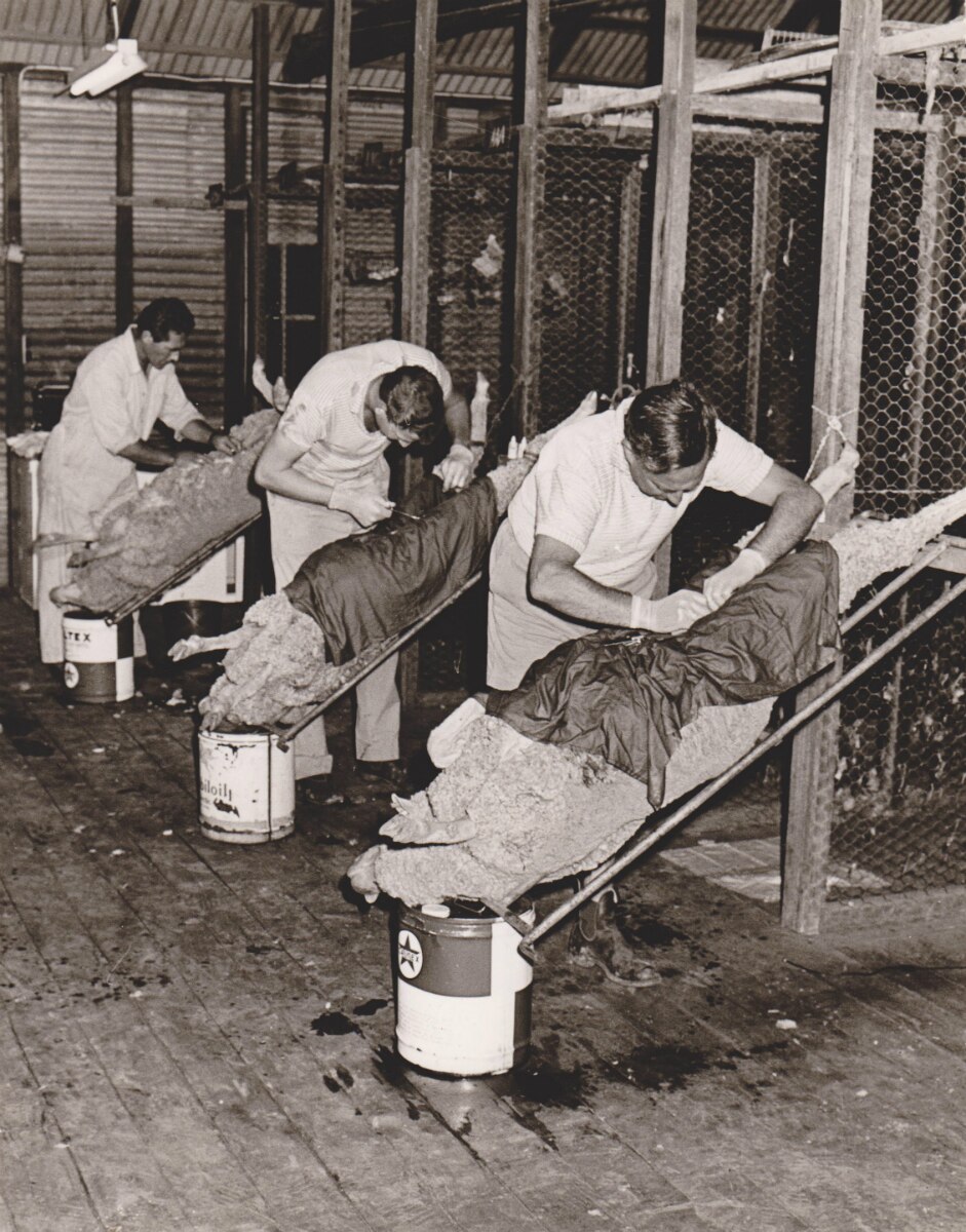 How a Cold War scientist escaped a gulag to pioneer reproductive ...