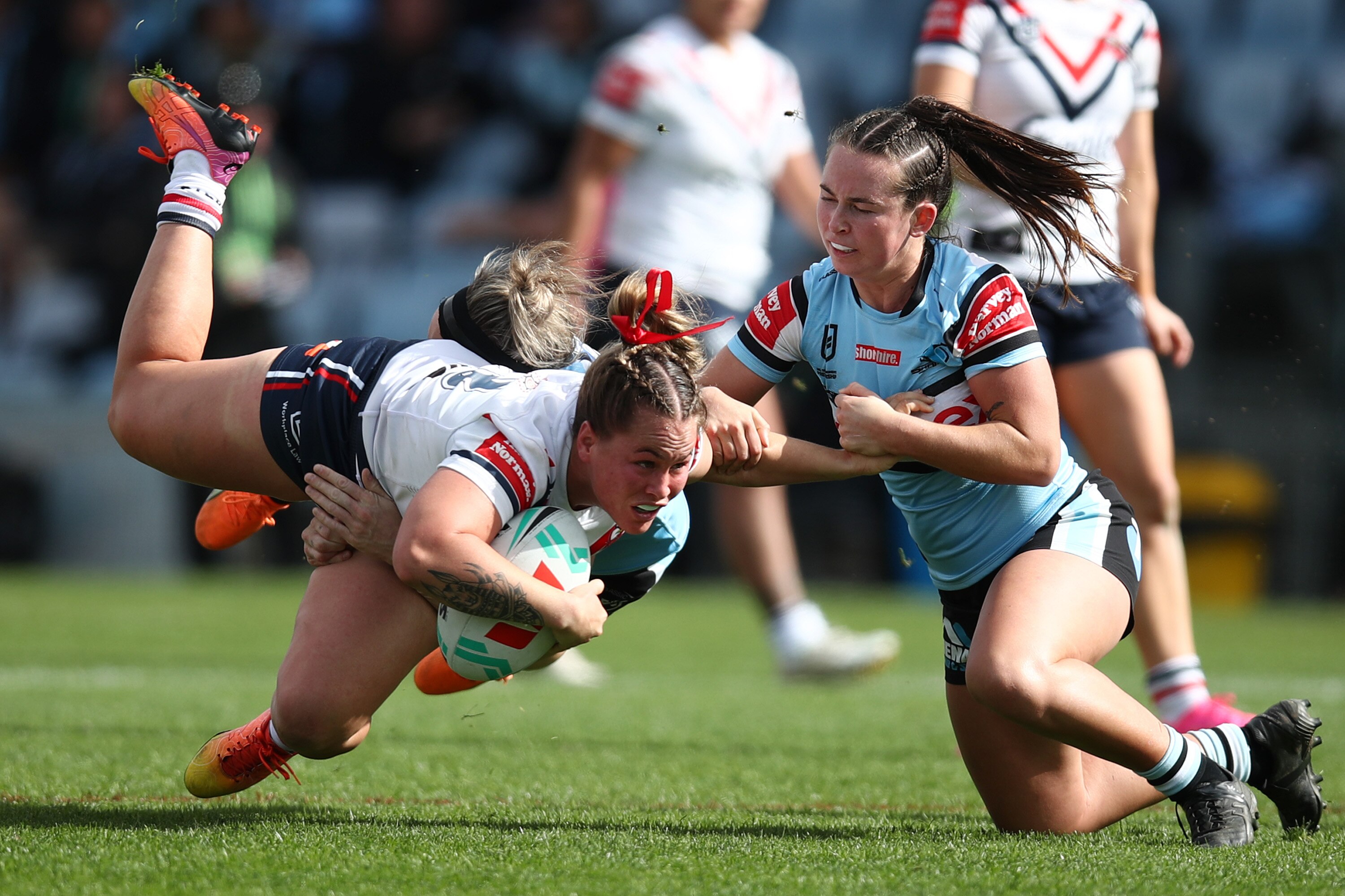 NRLW ScoreCentre: Sharks vs Roosters, Knights vs Titans — scores, stats ...