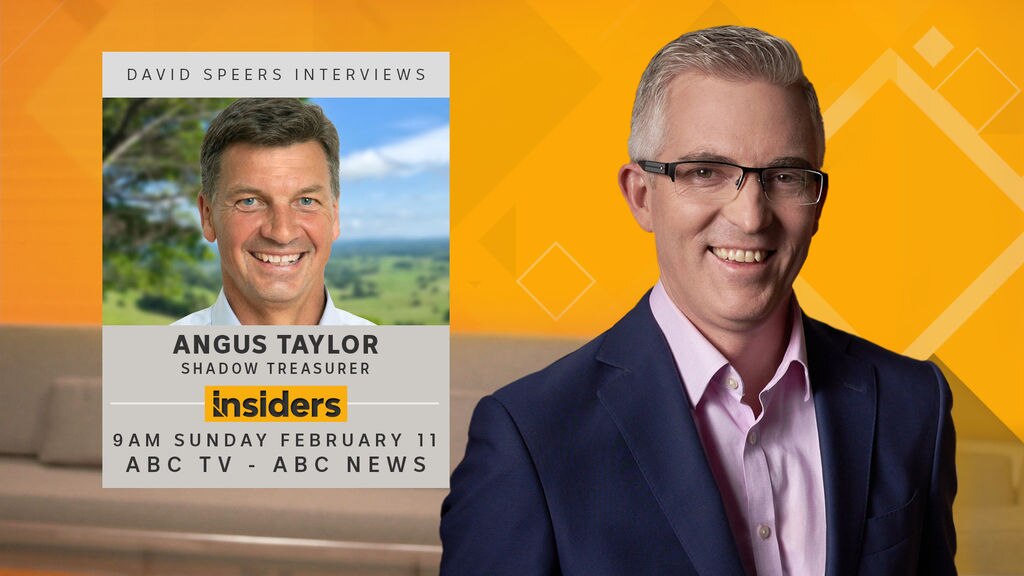 David Speers interviews Shadow Treasurer, Angus Taylor - ABC News
