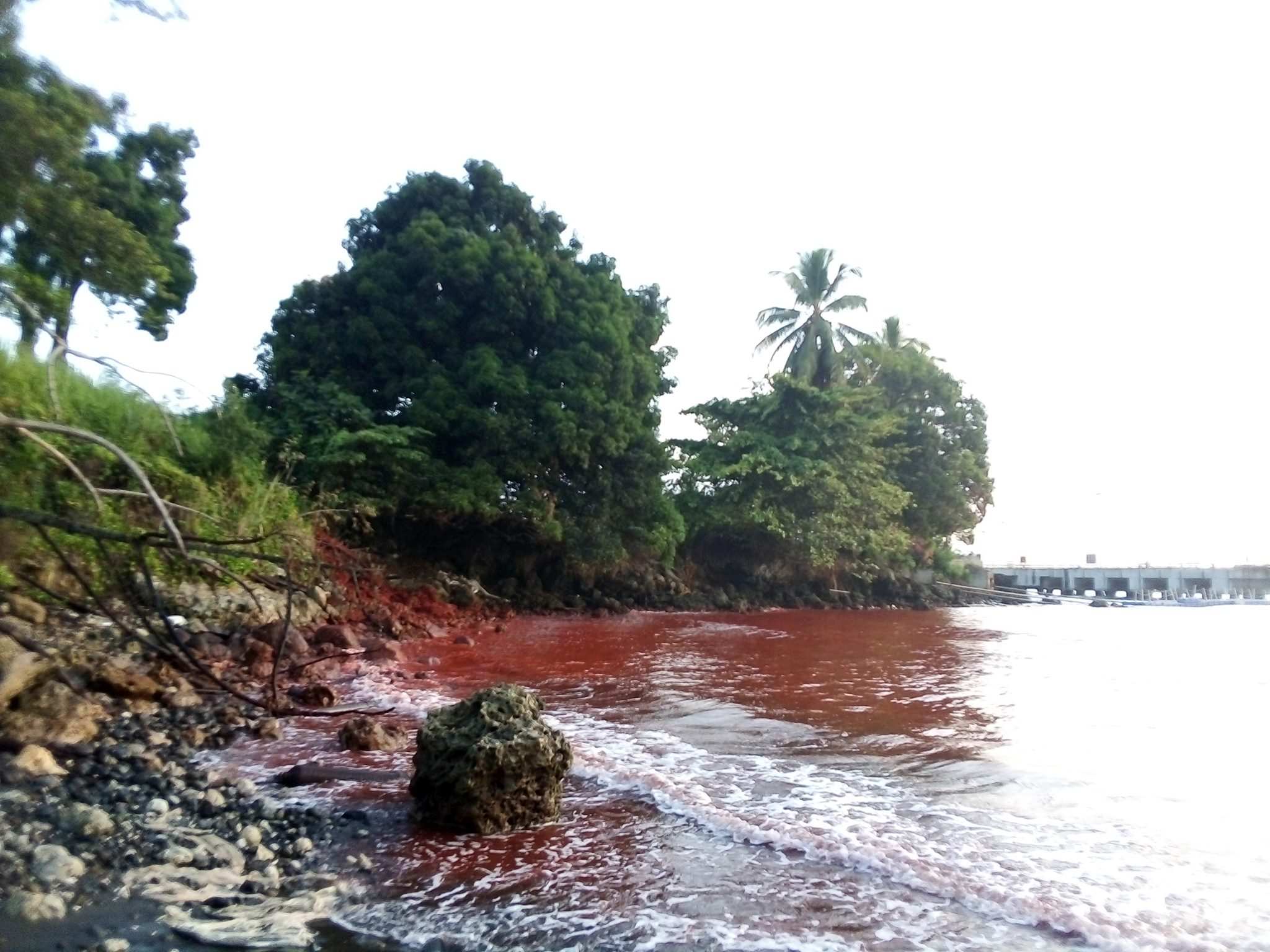 One month since Ramu nickel mine accident, experts urge better mining ...