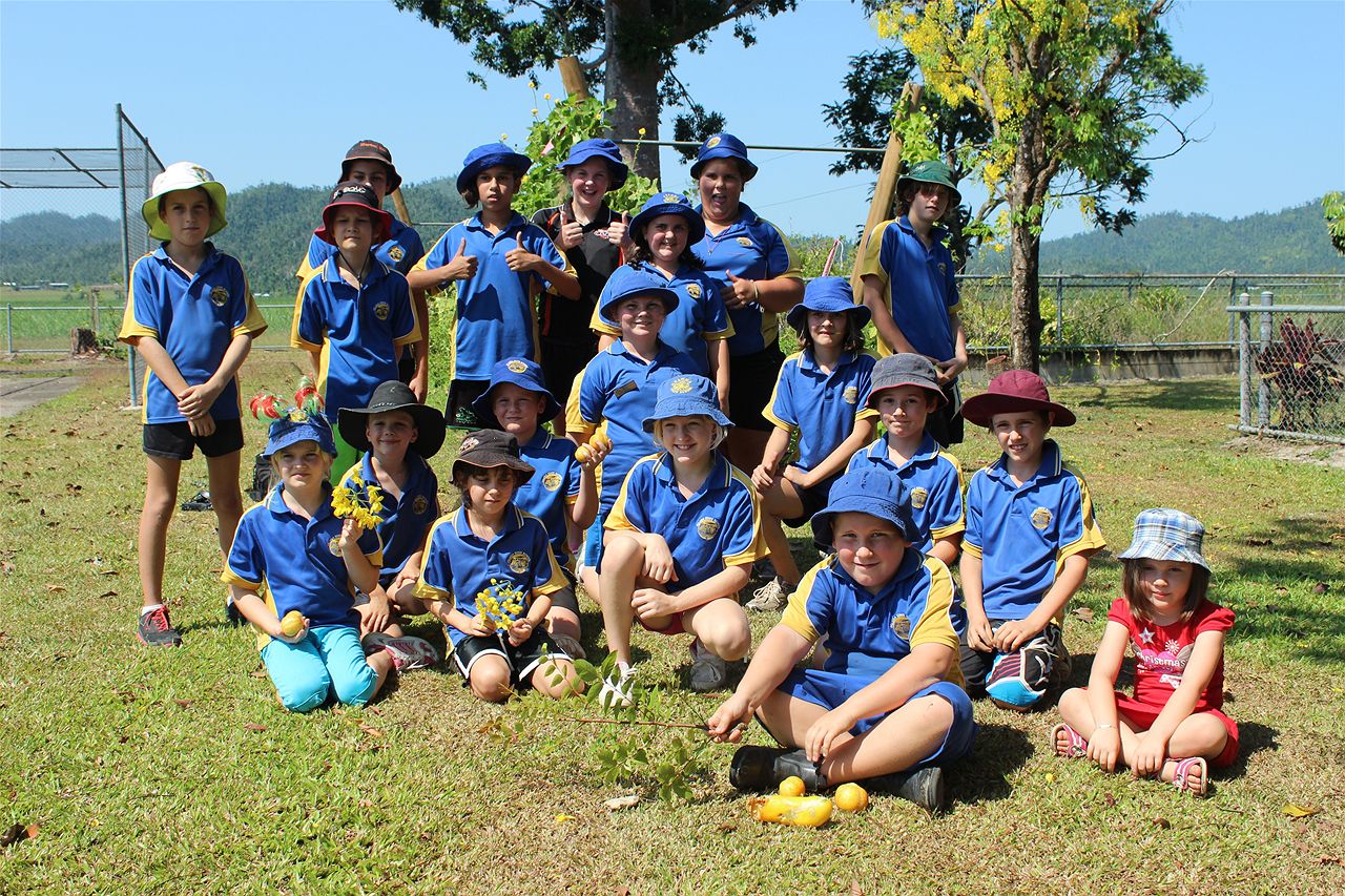 Cyclone-proofing Queensland orchards - ABC News