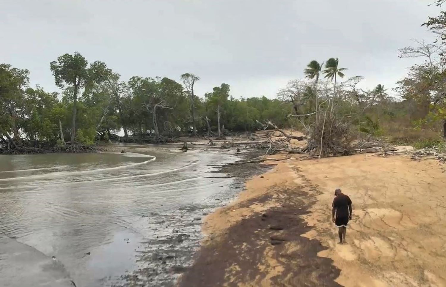 Uncle Paul Kabai on a Saibai Island beach damaged by the sea - ABC News