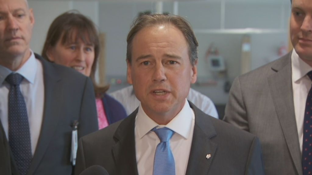 Health Minister Greg Hunt 'passionate about new role' - ABC News