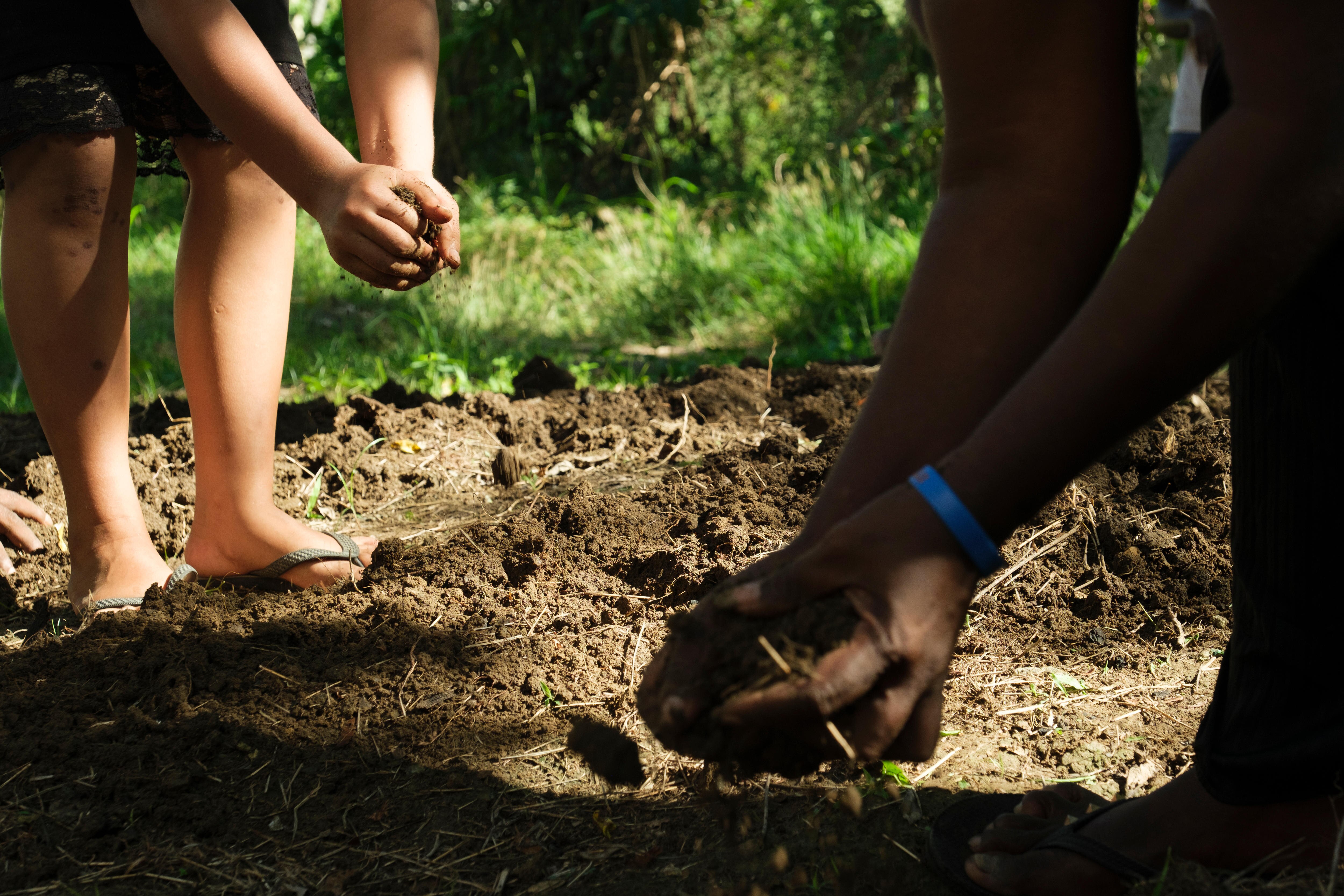 How loud is your soil? Scientists find healthy soil makes more noise ...