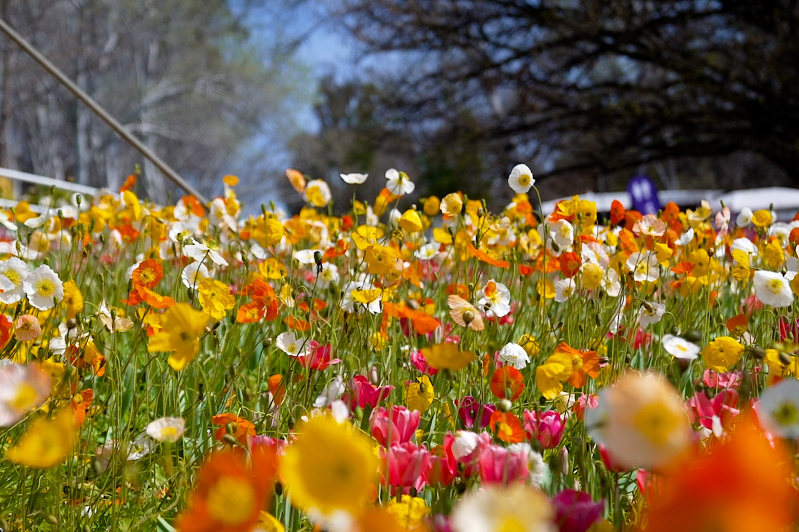 Unseasonable September heat an ominous sign for spring, with weather ...