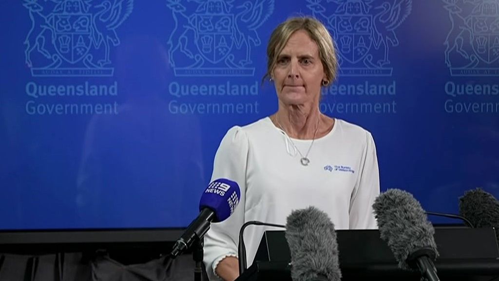 Flood warnings in place for south east Queensland - ABC News