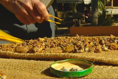 Fossicking strikes it rich - ABC News