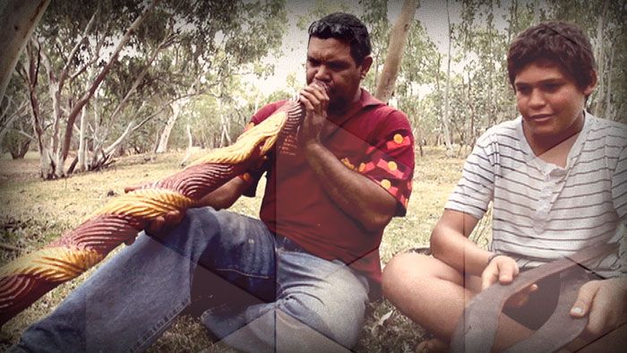 Bush Tucker Garden - Behind The News