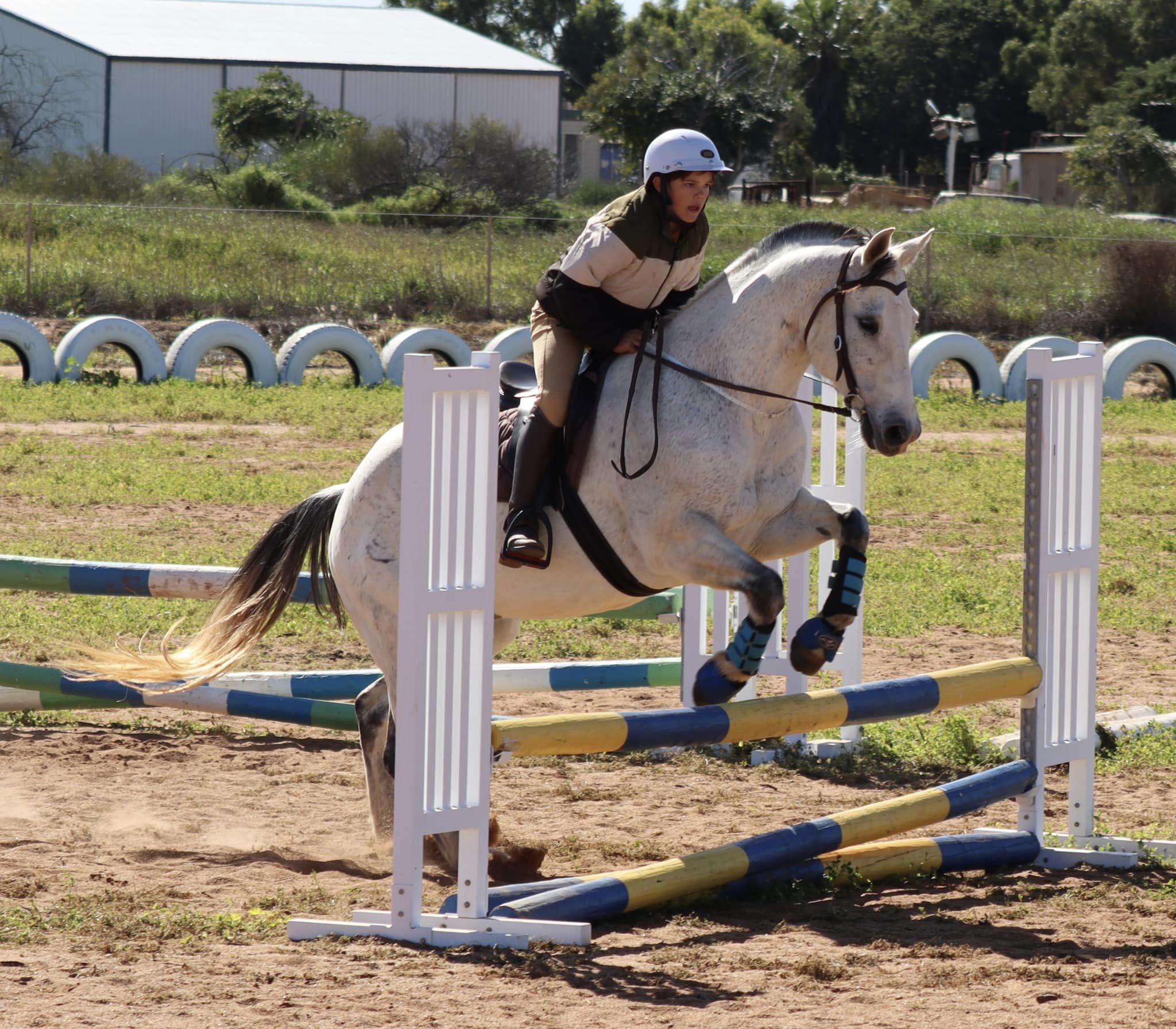 WA Pony Club offering online learning for riders on remote stations ...