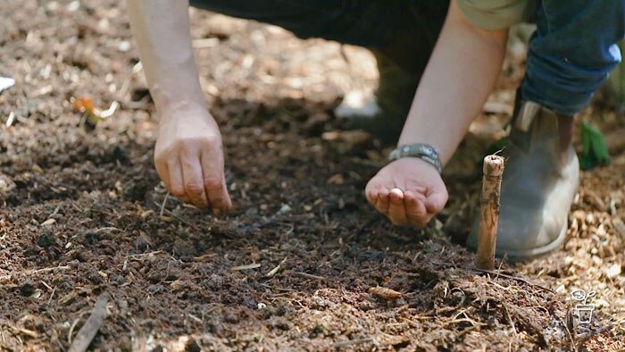 Lawn to Lunch - Gardening Australia