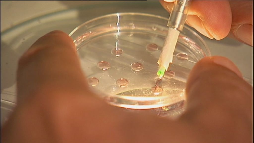 Scientists clone human embryos to make stem cells - ABC News