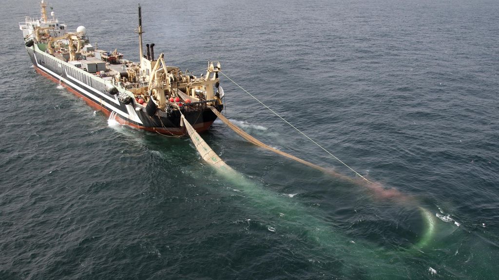 Trawler dolphin fears - ABC News
