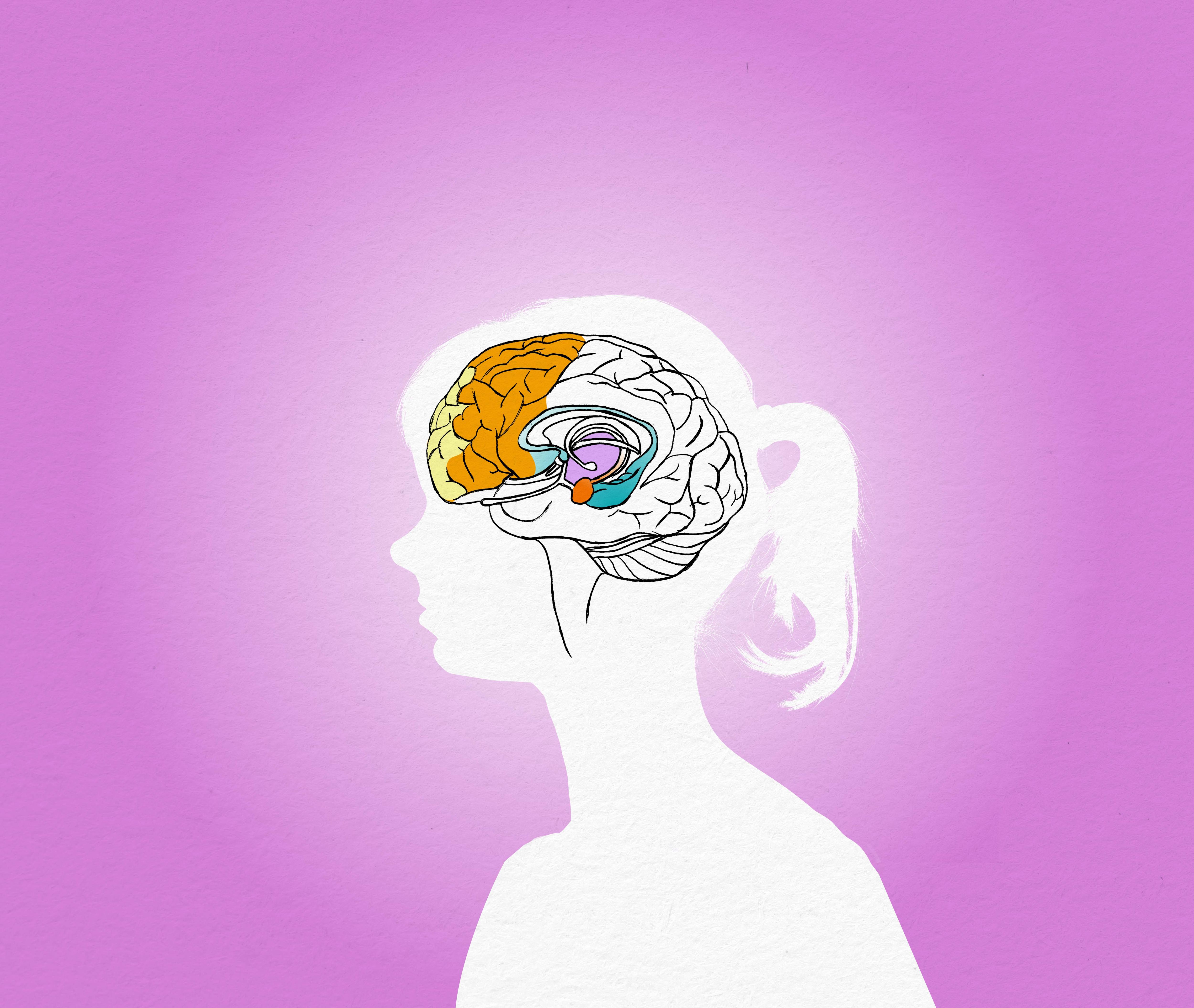 Neuroscience helps explain the teenage brain and mental health - ABC News