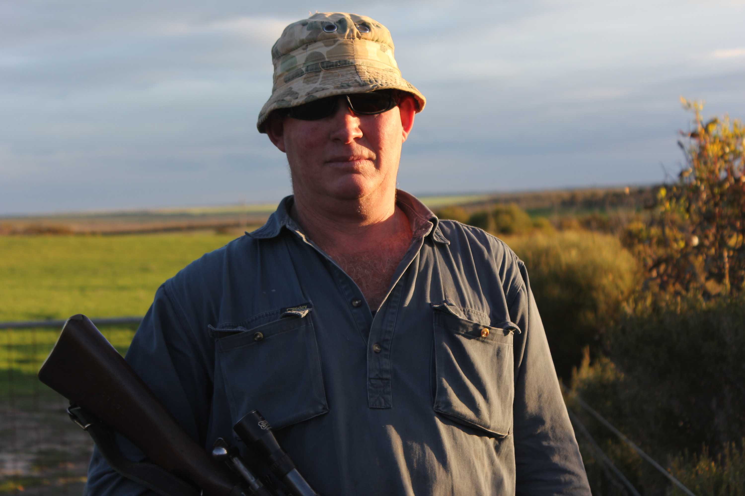 Romanticised view of professional doggers means controllers hard to ...